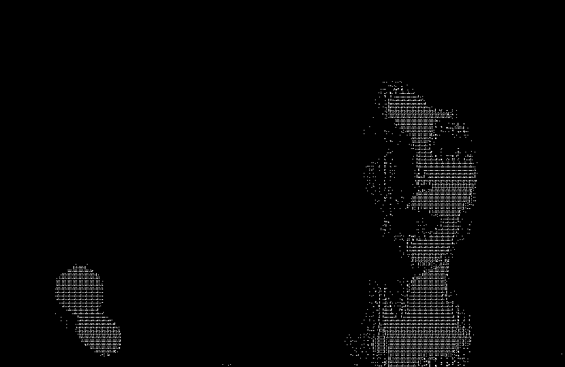 Image To Ascii — Rust Application Librs