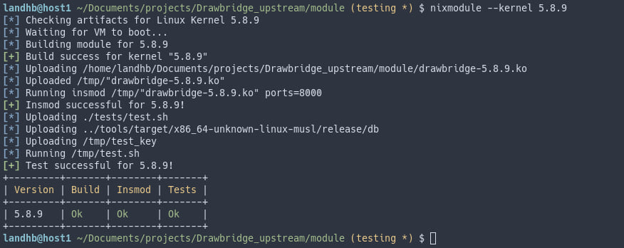 NixModule — Rust application // Lib.rs