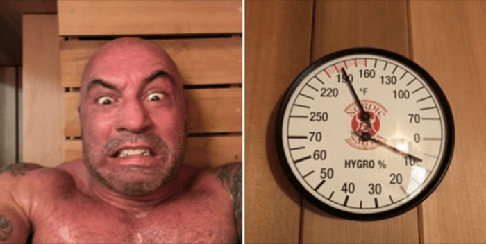 Joe Rogan's Epic Studio Gym, Training, and Nutrition (Plus Supplement ...