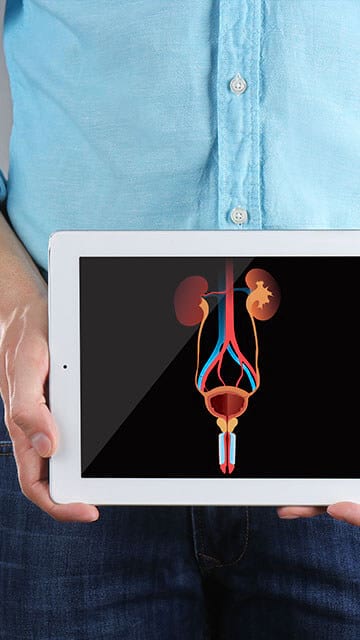 Ce este prostata si ce rol are in organism