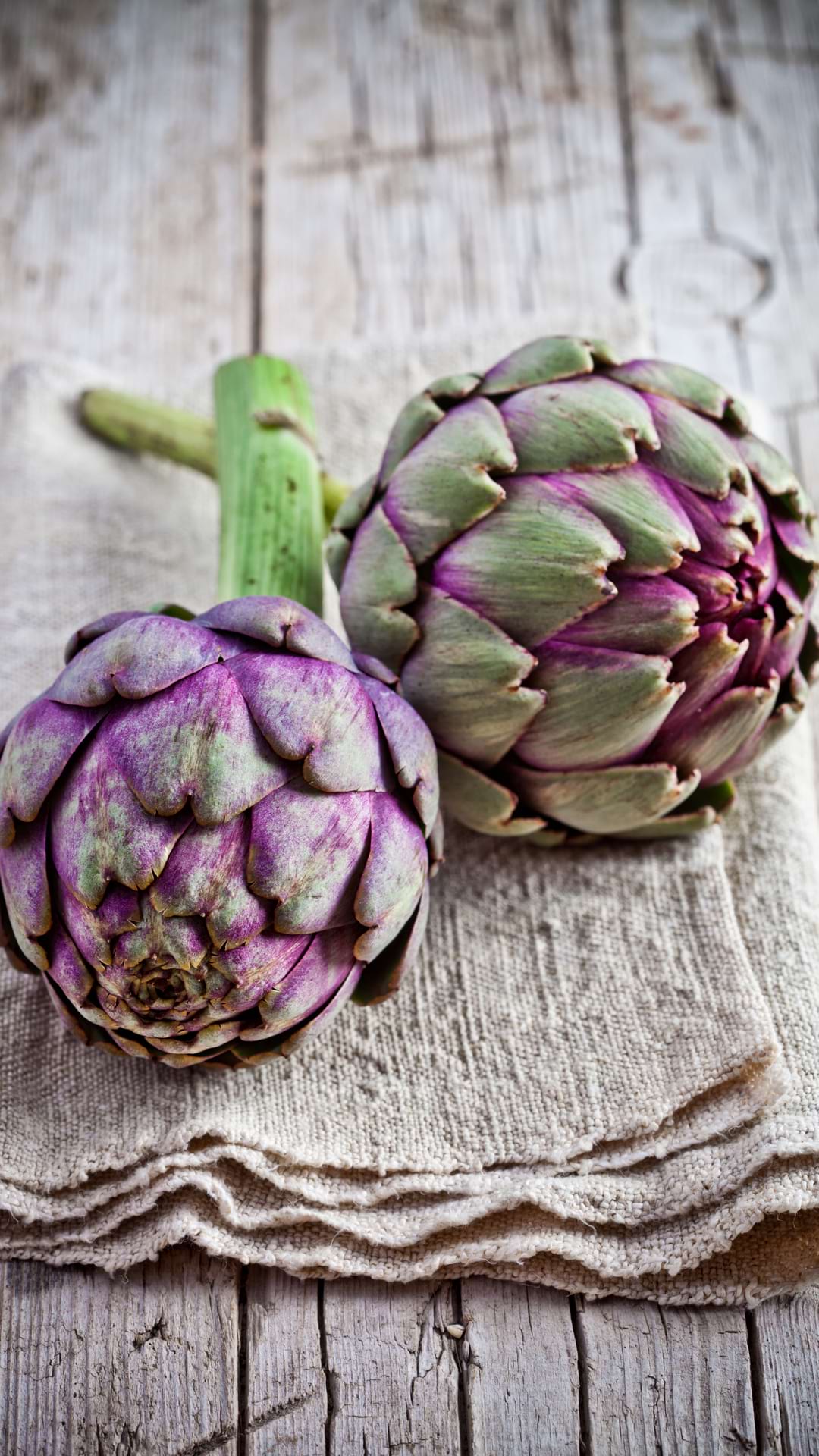 Anghinarea, planta cu efect benefic pentru ficatul gras