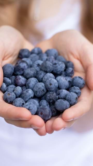 Afinele, comorile din padure