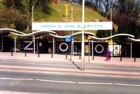 Dudley Zoological Gardens | United Kingdom